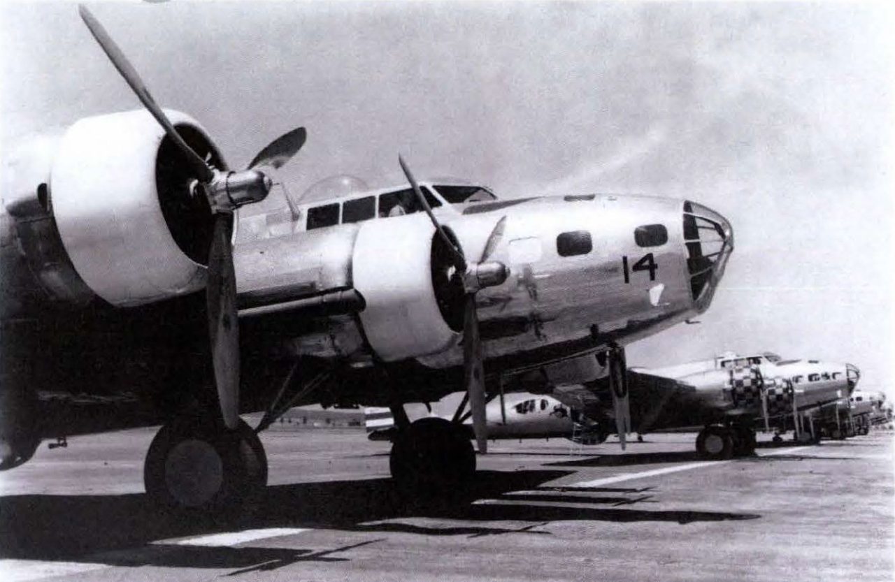 Meet Pinky – The Brier Foundation